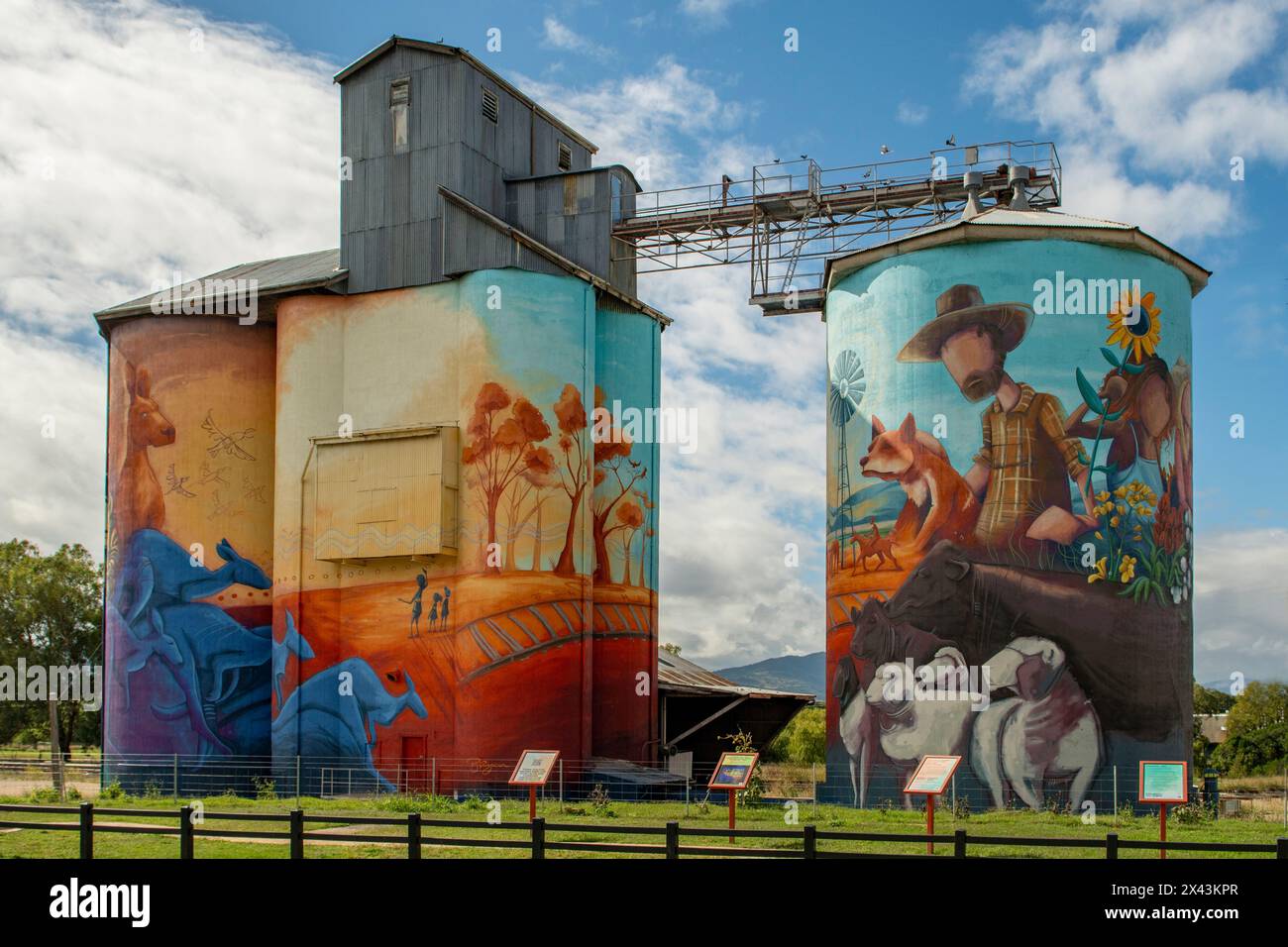 Silo Art by Peter Ryan, Quirindi, NSW, Australia Stock Photo - Alamy