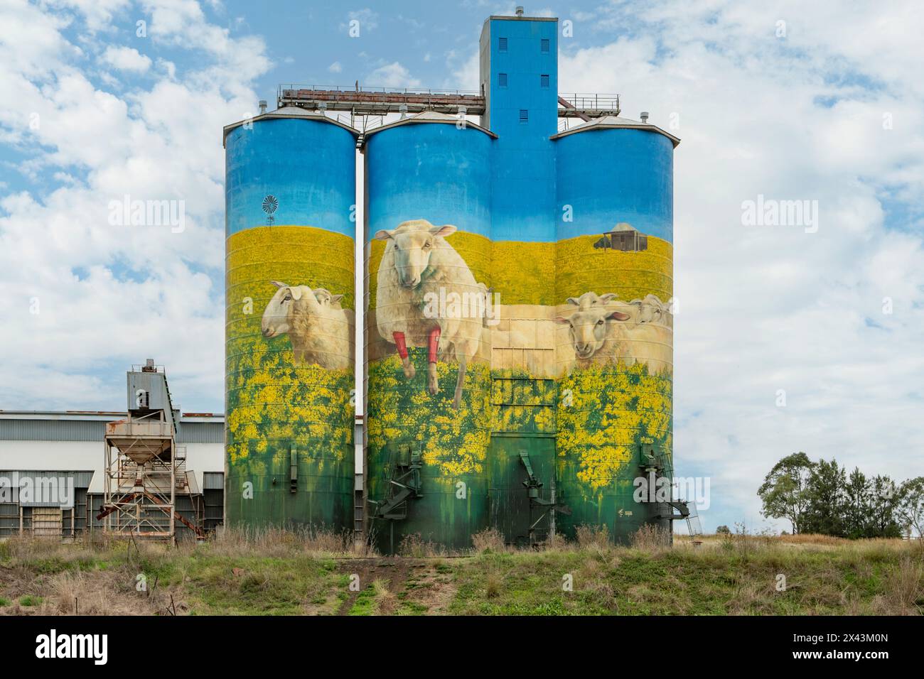 Silo Art by David Lee Pereira, Merriwa, NSW, Australia Stock Photo - Alamy