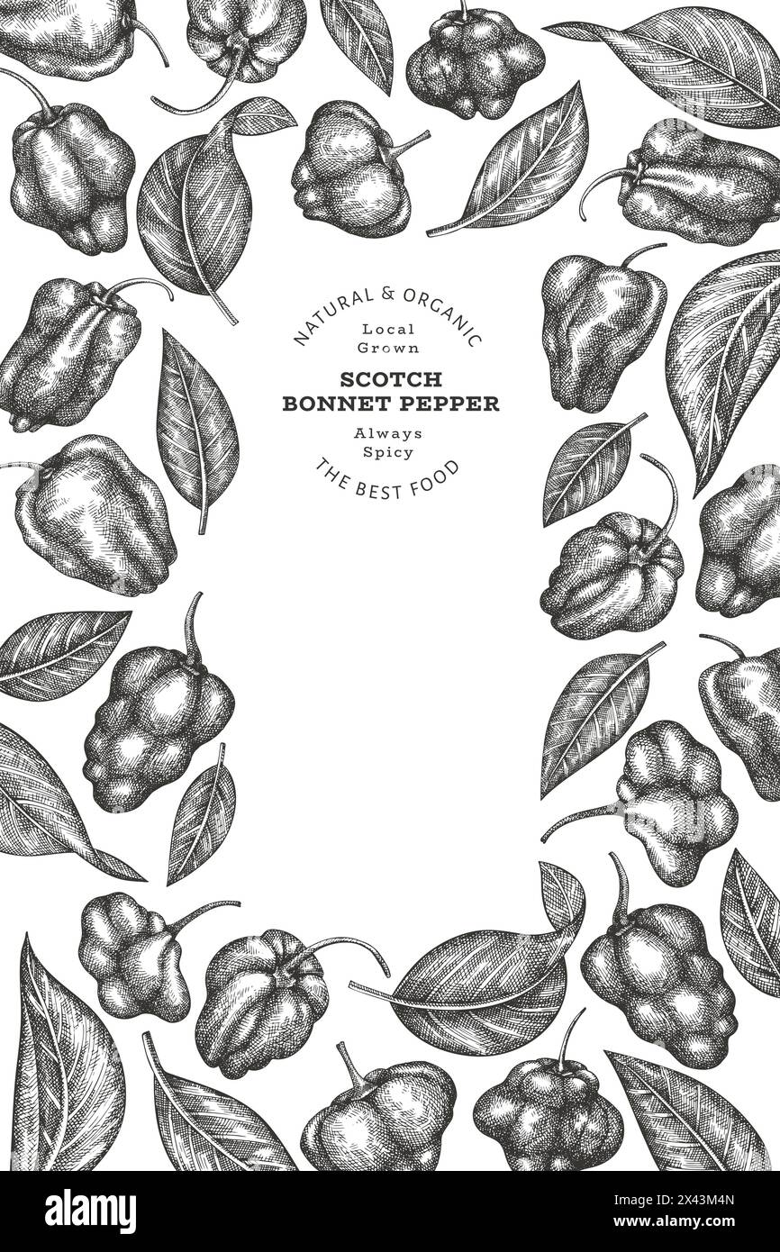Hand drawn sketch style scotch bonnet pepper banner. Organic fresh ...