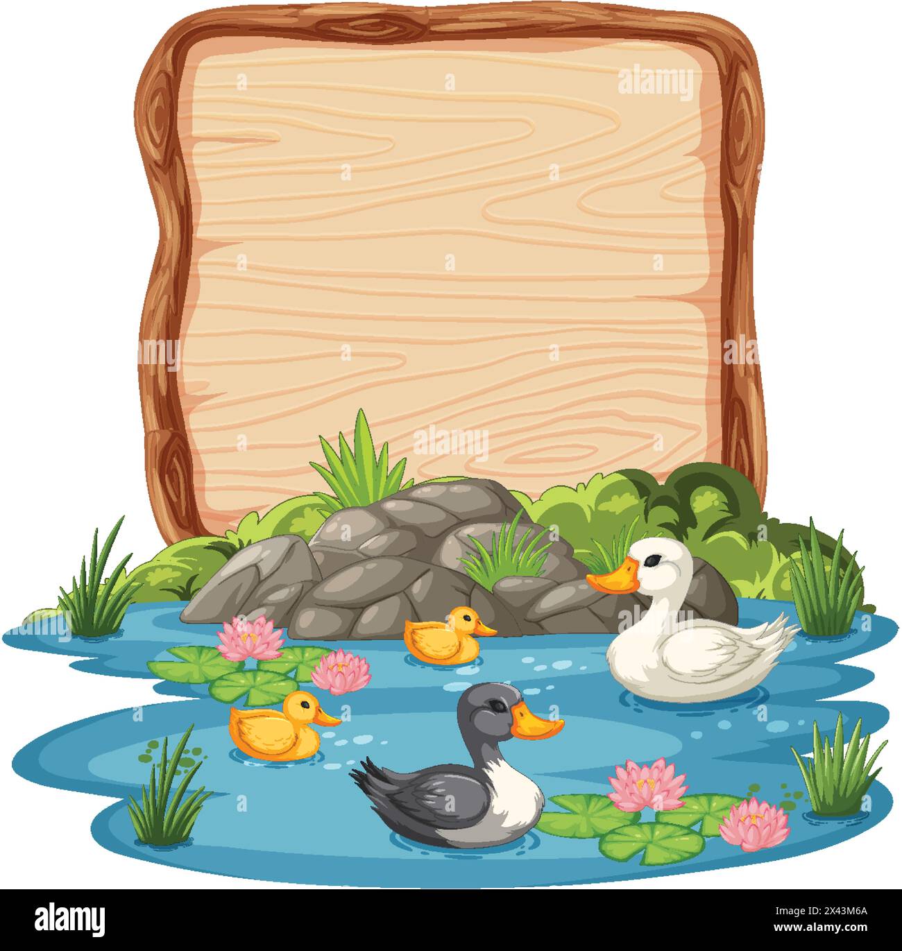 Vector illustration of ducks in a tranquil pond Stock Vector Image & Art - Alamy