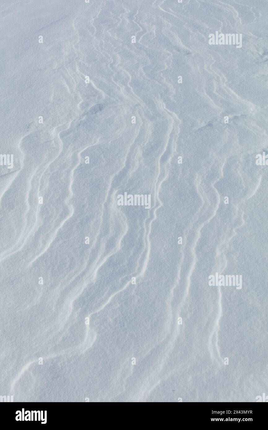 Snow surface detail hi-res stock photography and images - Alamy