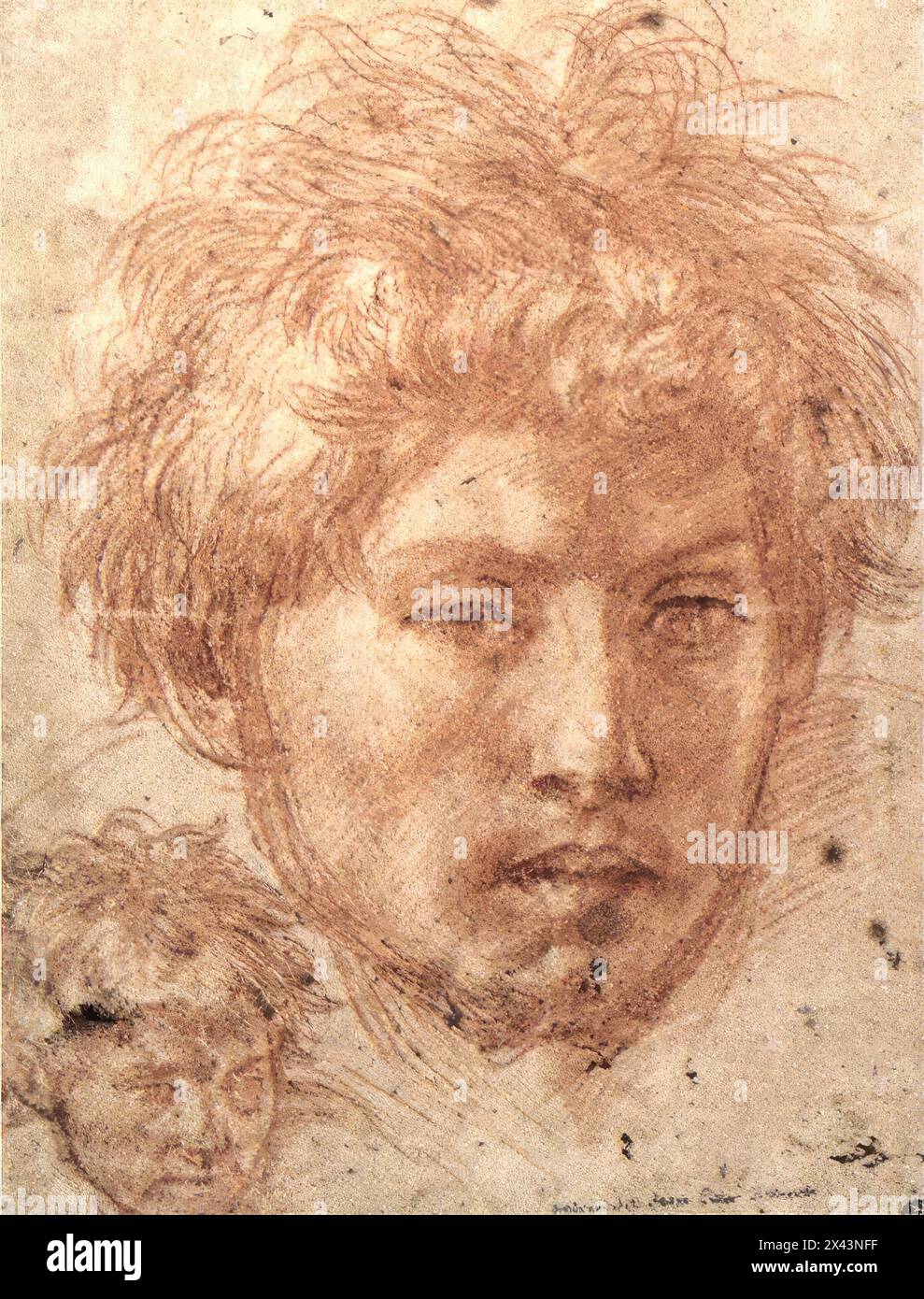 Andrea del sarto louvre hi-res stock photography and images - Alamy