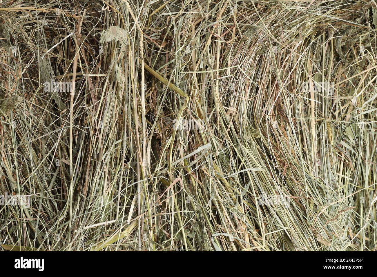 Pile of dried hay as background, top view Stock Photo - Alamy