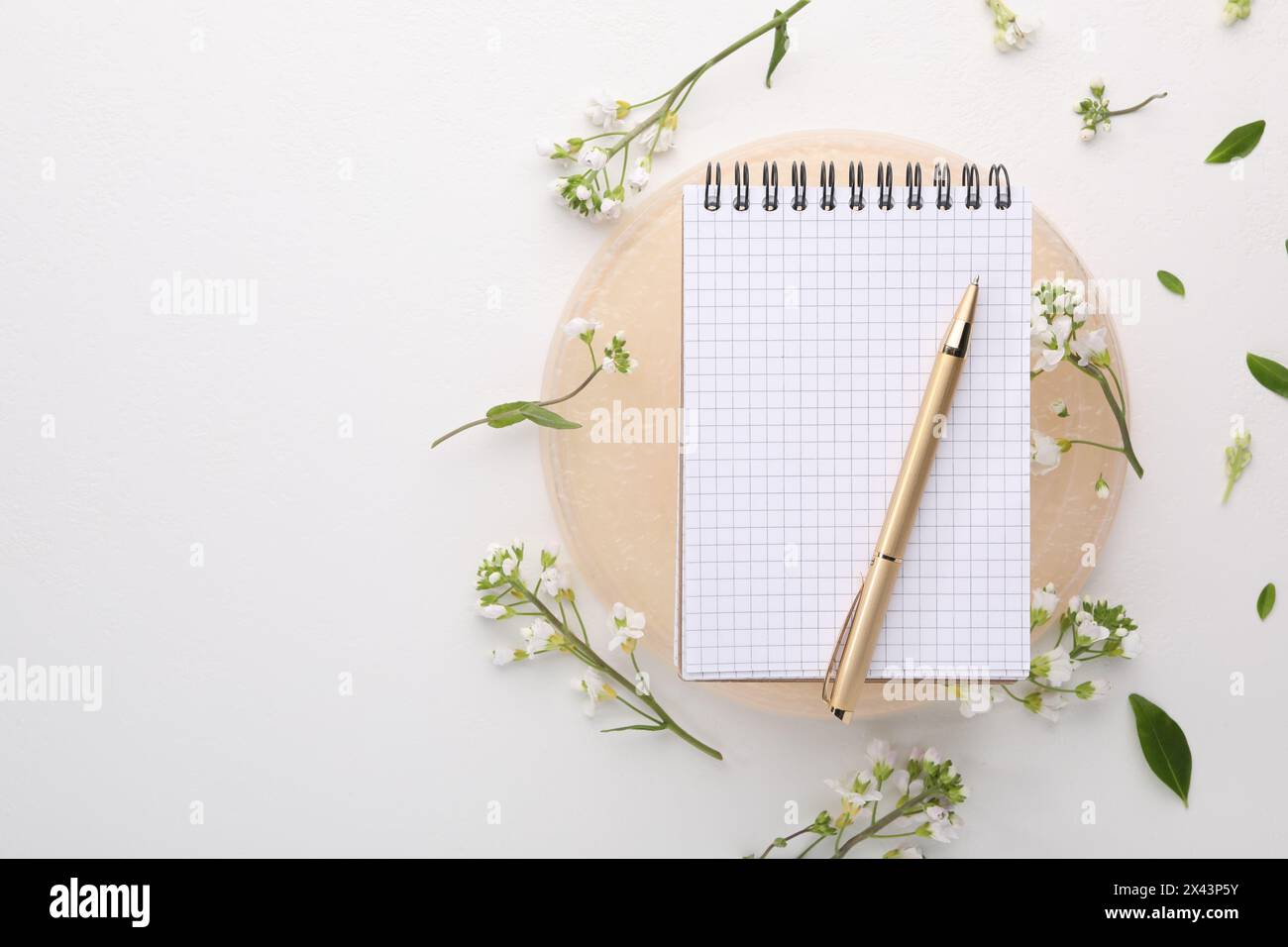 Guest list. Notebook, pen and beautiful spring tree blossoms on white ...
