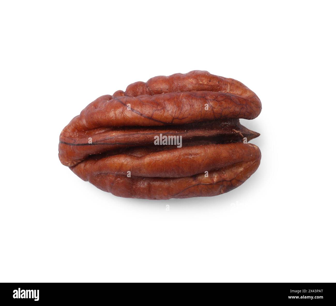 One tasty pecan nut isolated on white, top view Stock Photo - Alamy