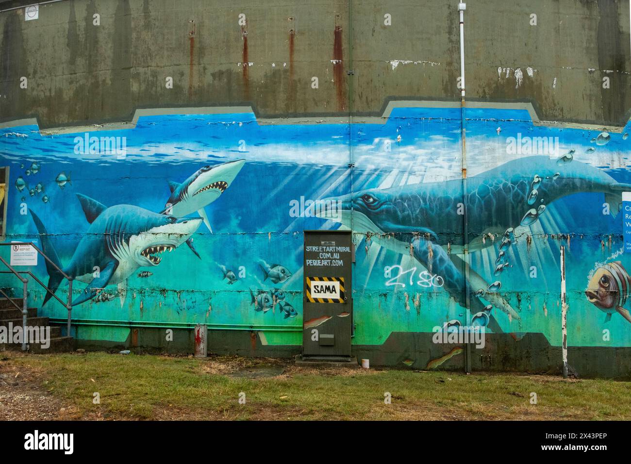 Water Tank Art by Peque, Katoomba, NSW, Australia Stock Photo - Alamy