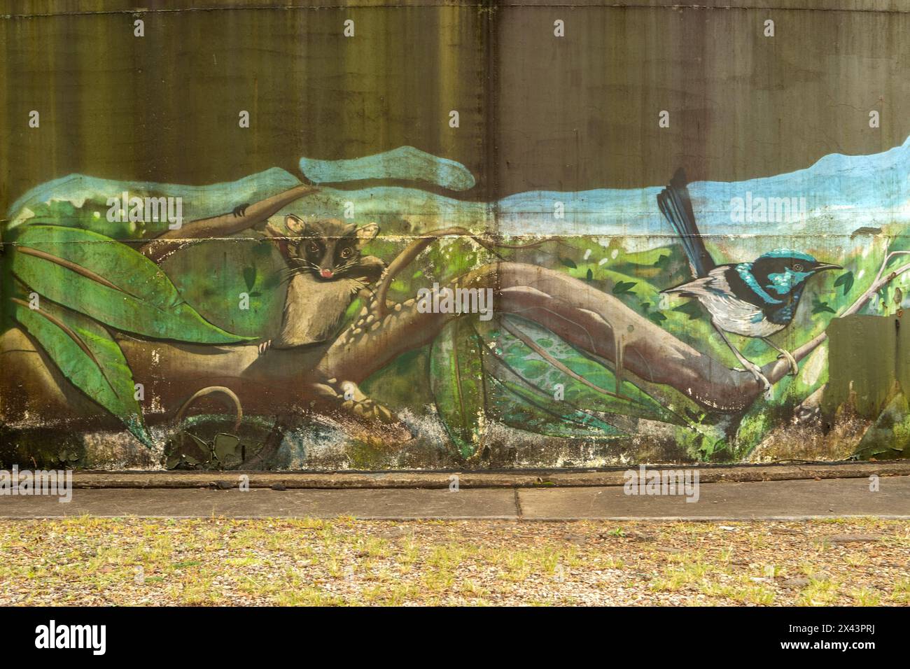 Water Tank Art by Scott Nagy and Janne Birkner, Mount Riverview, NSW ...
