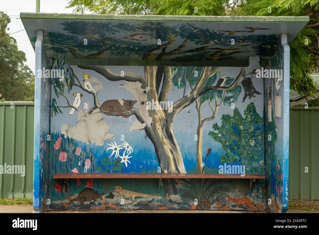 Bus Shelter Street Art, Mount Riverview, NSW, Australia Stock Photo - Alamy