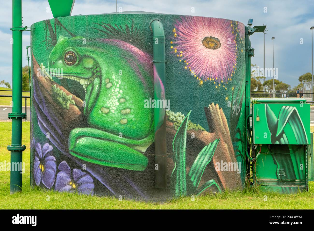 Water Tank Art by Scott Nagy and Krimsone, Barden Ridge, NSW, Australia ...