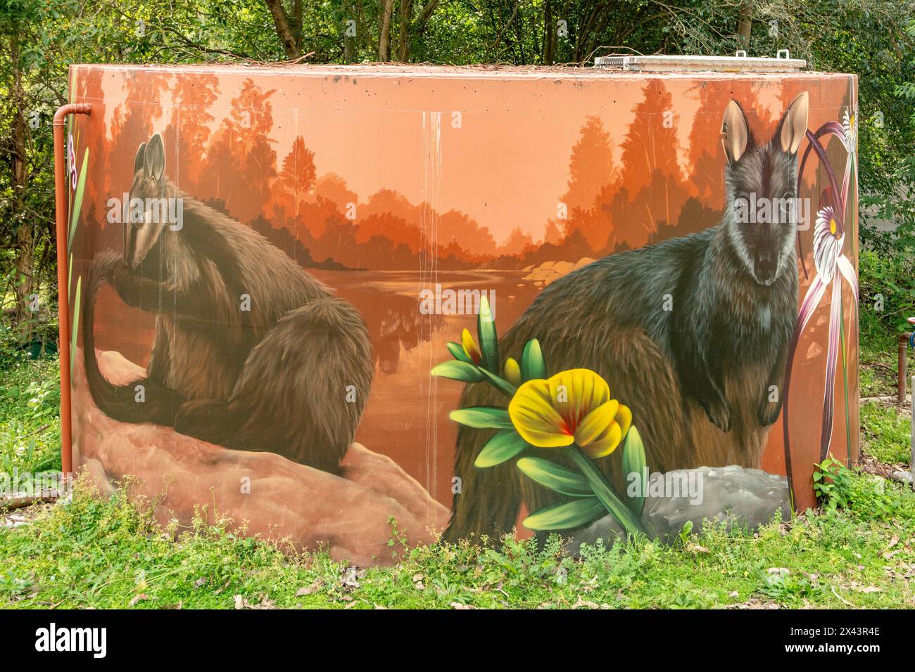 Water Tank Art by Alex Sugar, Kangaroo Valley, NSW, Australia Stock ...