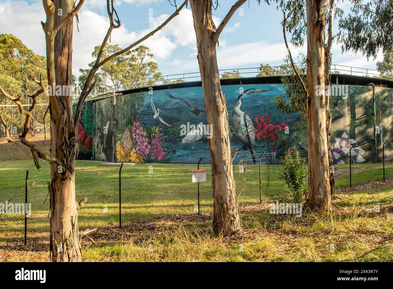 Water Tank Art by Geoff Filmore, Narrabundah, ACT, Australia Stock ...
