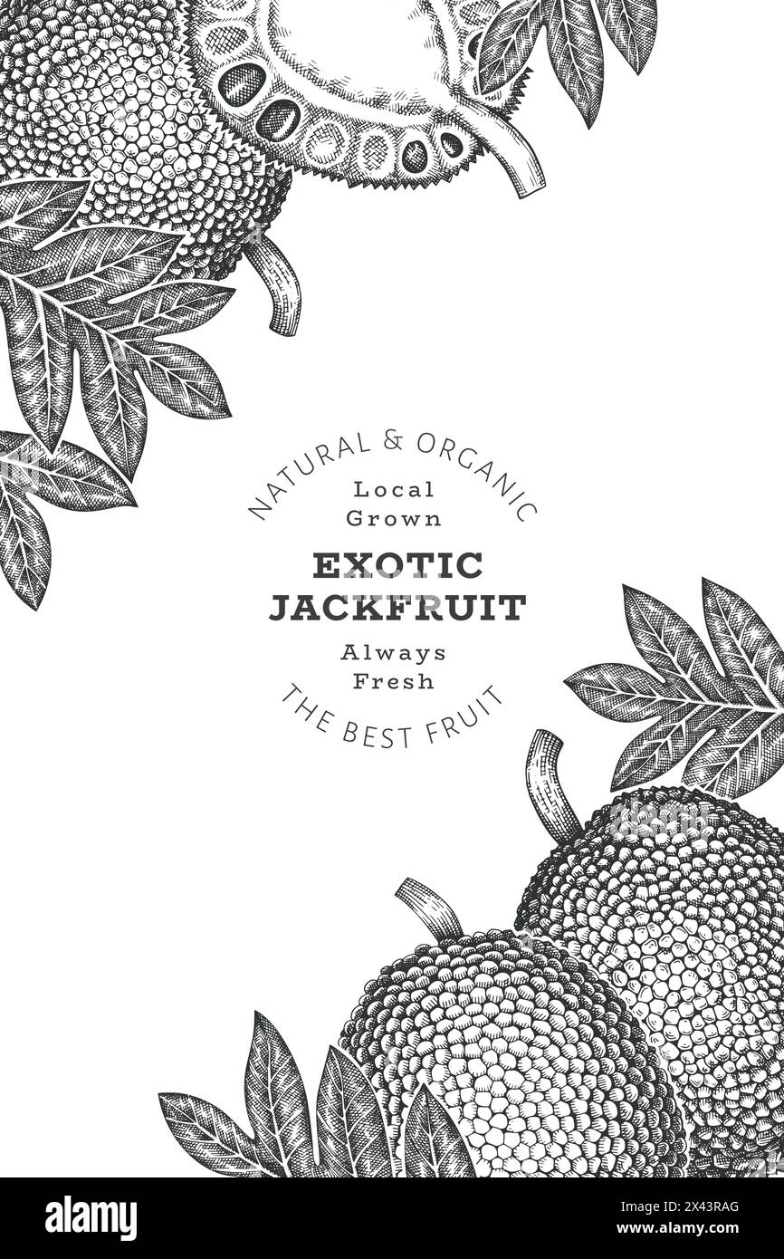 Hand drawn sketch style jackfruit banner. Organic fresh fruit vector ...