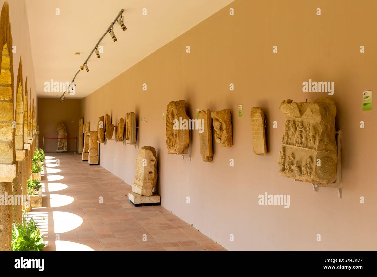 Display of carved Roman and Greek stonework, archaeology museum ...
