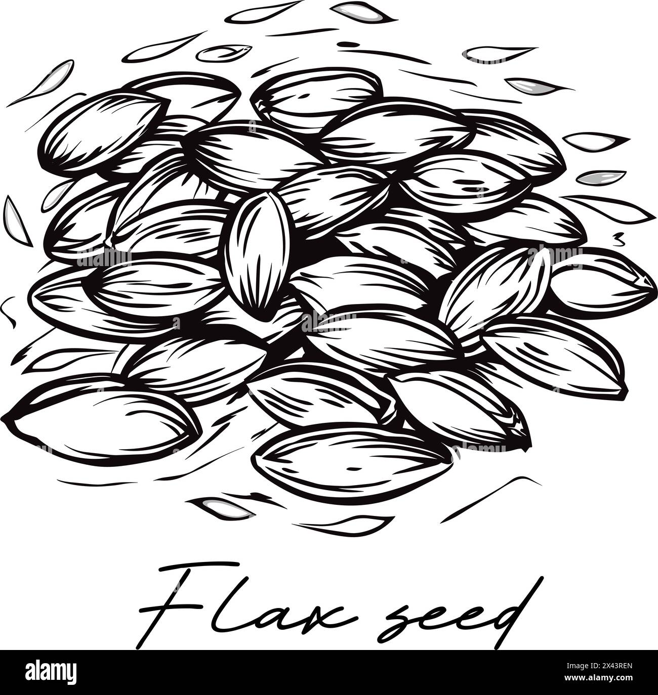 Flax Seed Hand Drawn Black And White Vector Illustration Stock Vector Image And Art Alamy