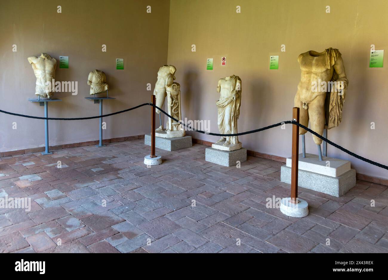 Classical period sculptures statues on display in archaeology museum ...