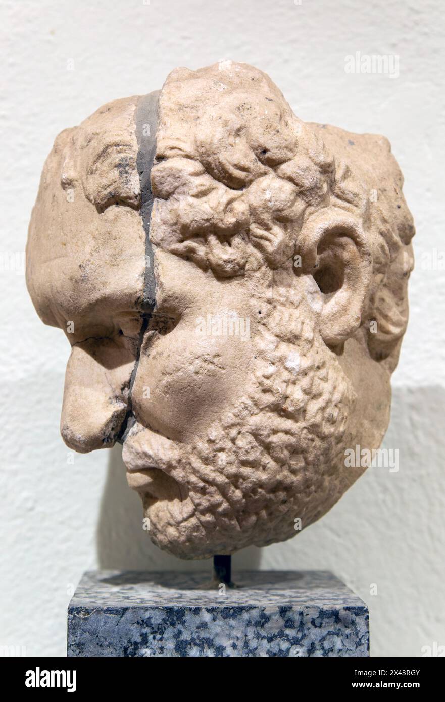 Carved Roman portrait head of a high ranking official, archaeology ...