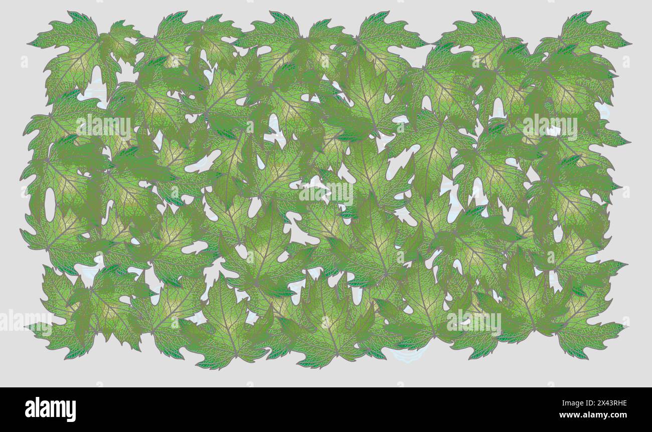 Wall of grapes Stock Vector Images - Alamy