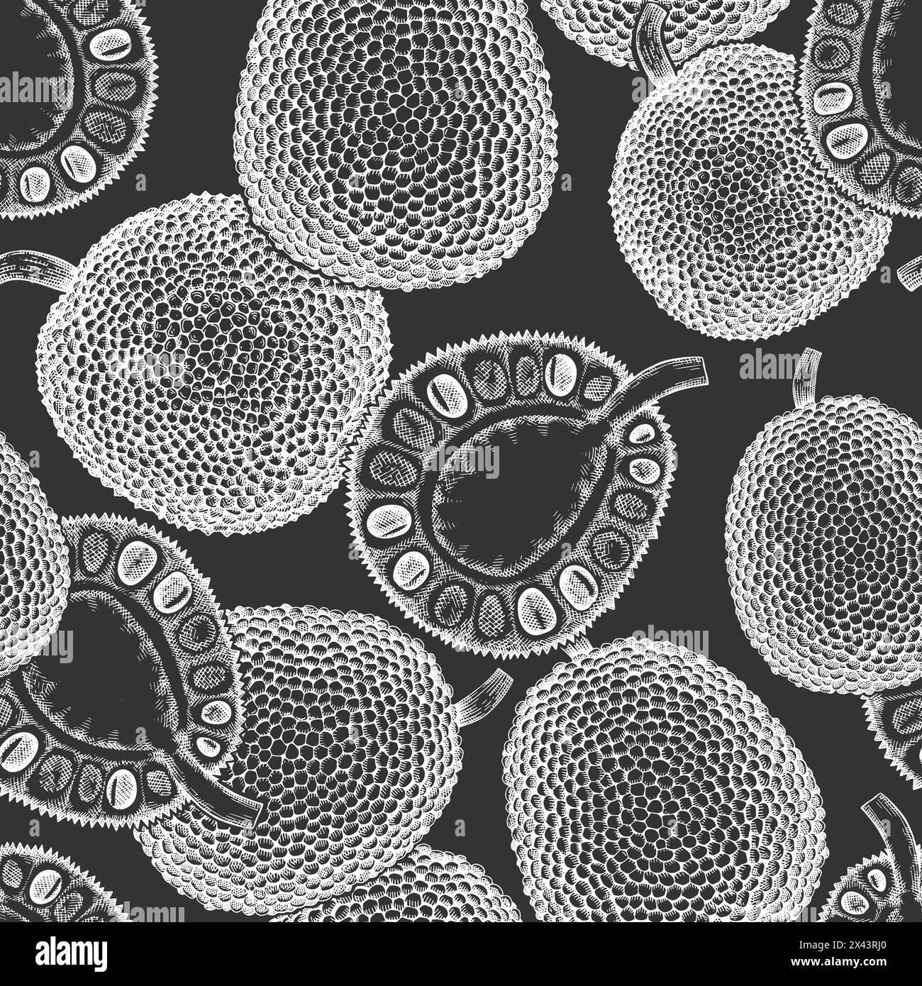 Hand drawn sketch style jackfruit seamless pattern. Organic fresh fruit vector illustration on ...