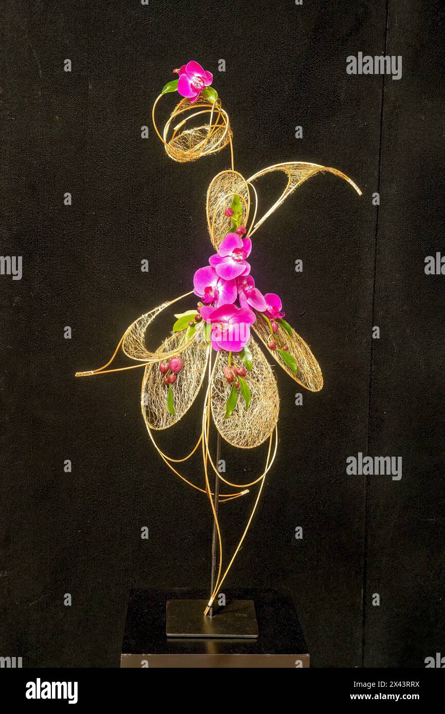 2nd Prize, Floral Display, Melbourne International Flower Show 2024 ...