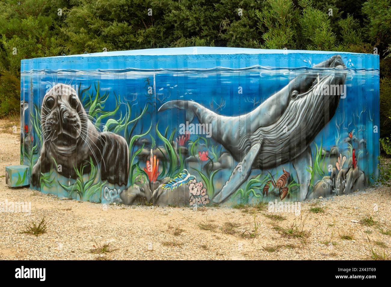 Native Marine Life Water Tank Art by Simon White, Marlo, Victoria ...