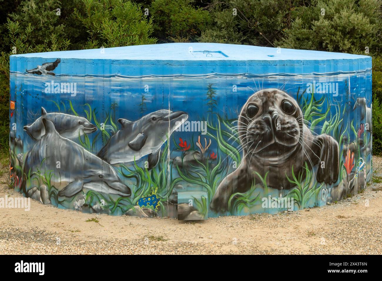 Native Marine Life Water Tank Art by Simon White, Marlo, Victoria ...