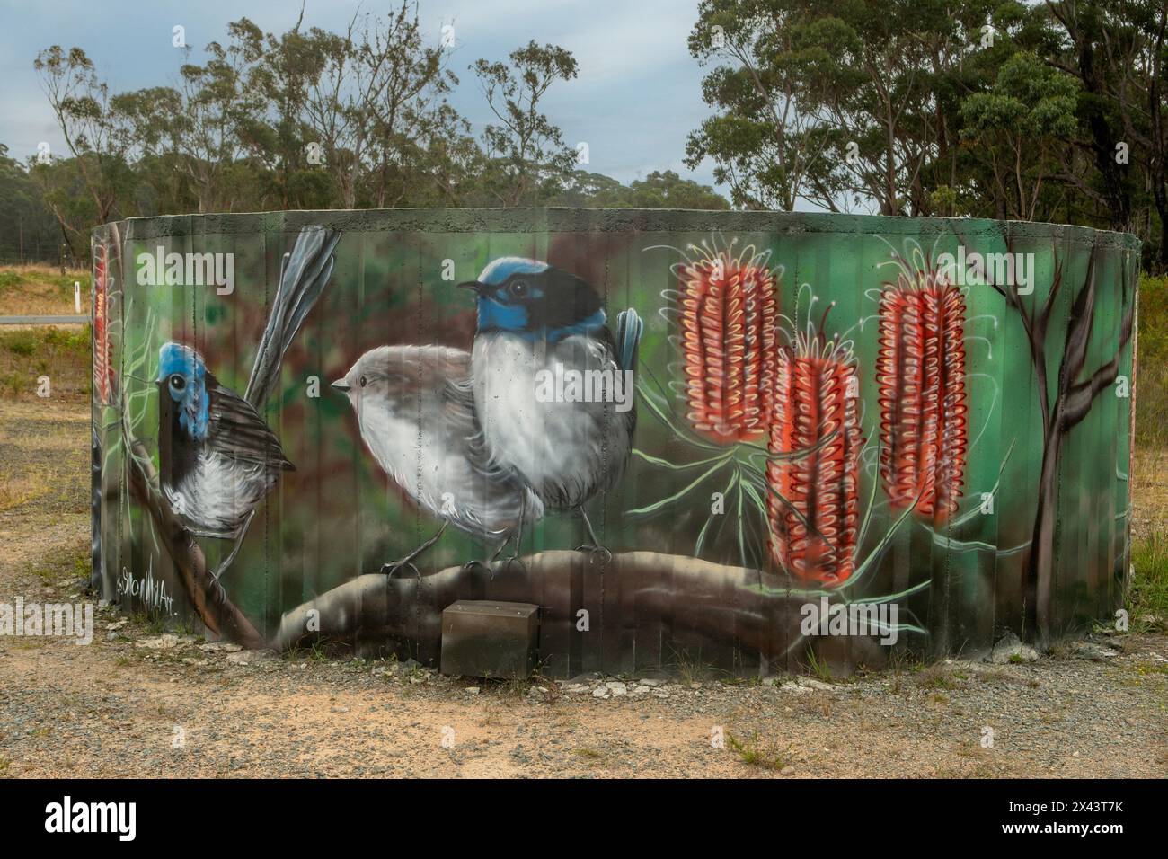 Native Wildlife Water Tank Art by Simon White, Cape Conran, Victoria ...