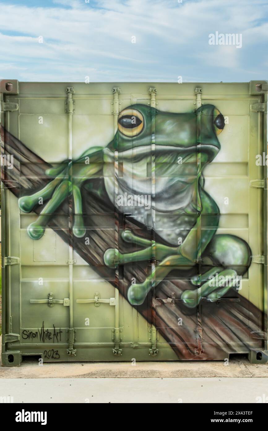 Australian art frog hi-res stock photography and images - Alamy