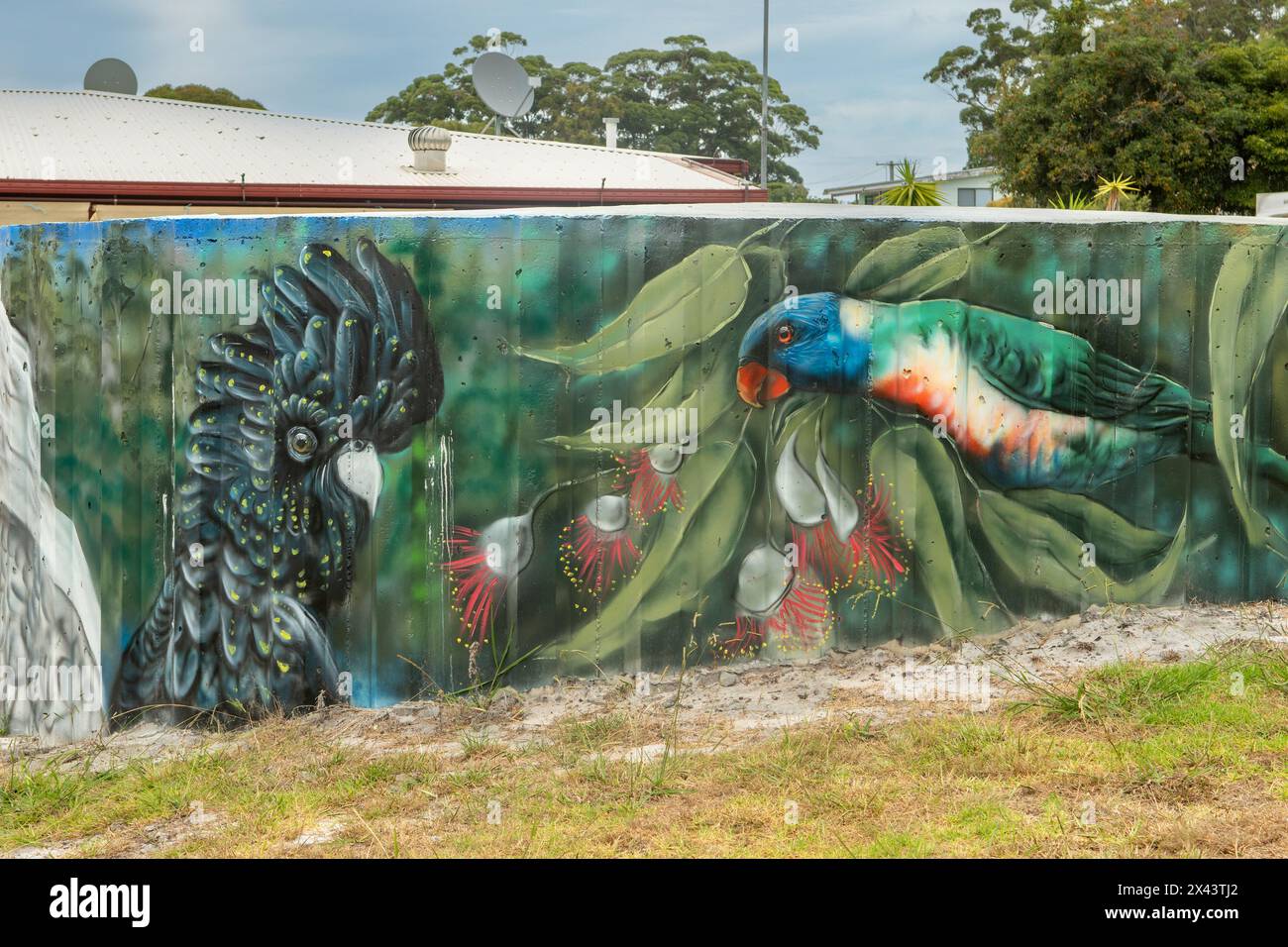 Native Birds Water Tank Art by Simon White, Bemm River, Victoria ...