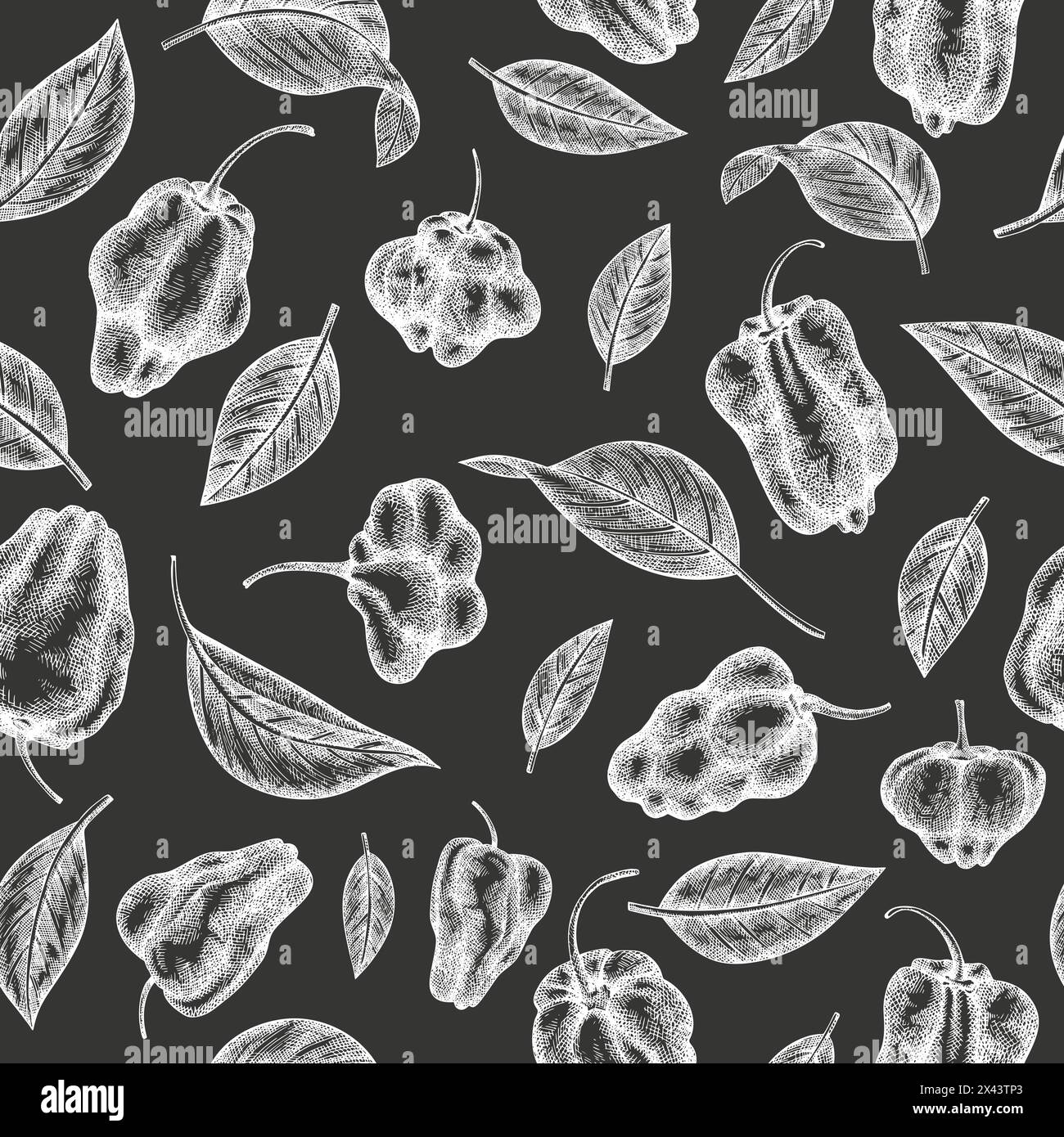 Hand drawn sketch style scotch bonnet pepper seamless pattern. Organic ...