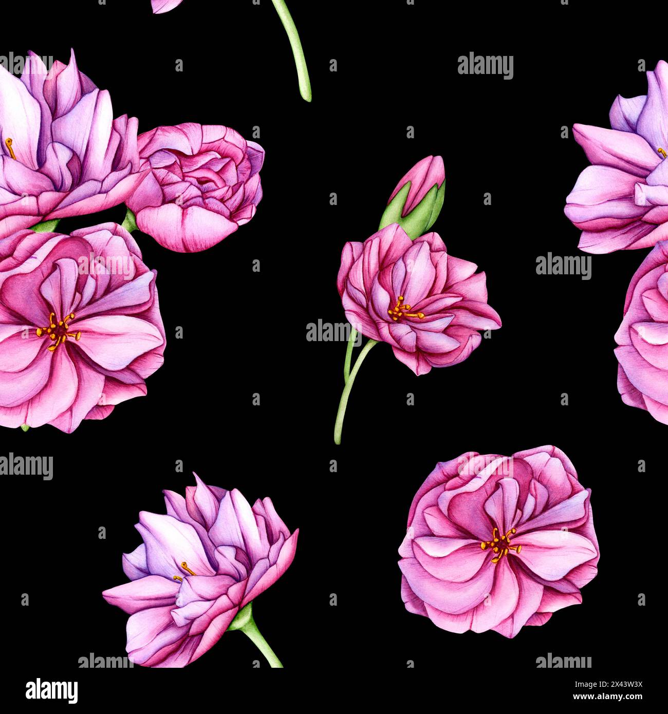 Sakura flowers. Pink cherry blossom flowers. Seamless Pattern with ...