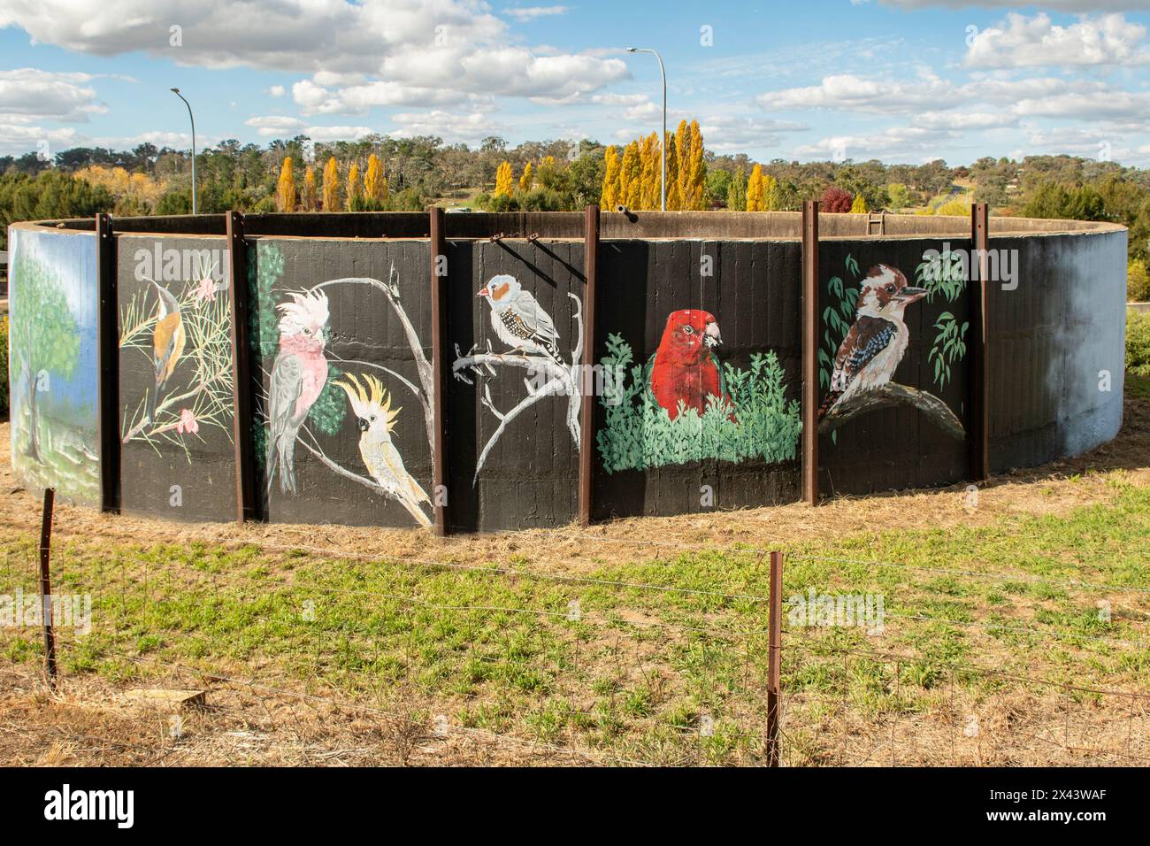 Water Tank Art by Michael Crook and Ricky Ah-see, Molong, NSW ...