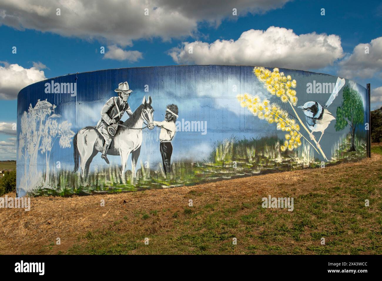 Water Tank Art by Michael Crook and Ricky Ah-see, Molong, NSW ...
