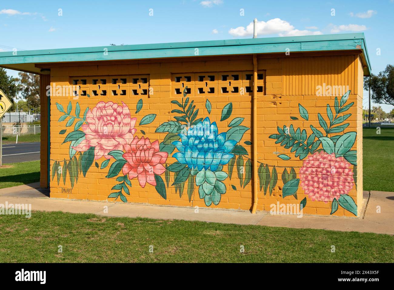 Street Art by DNART, Gulargambone, NSW, Australia Stock Photo - Alamy