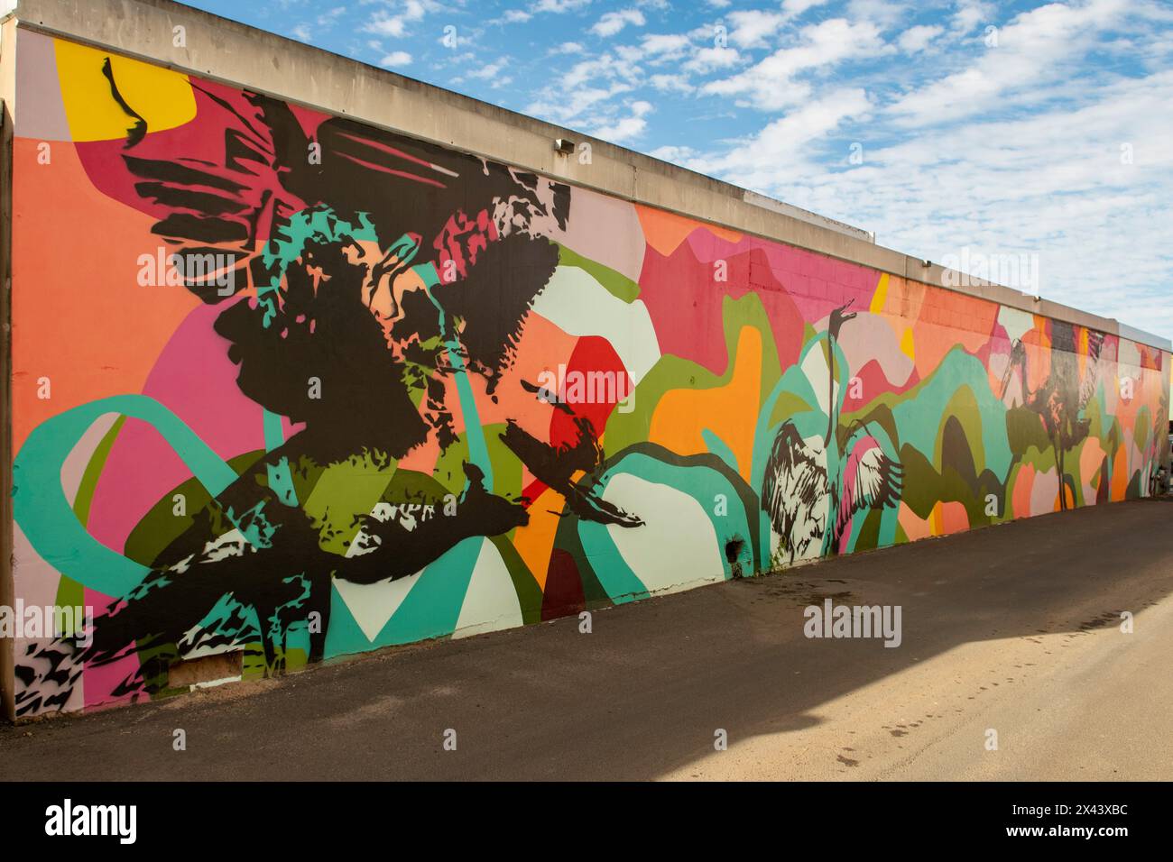 Street Art, Goondiwindi, Queensland, Australia Stock Photo - Alamy