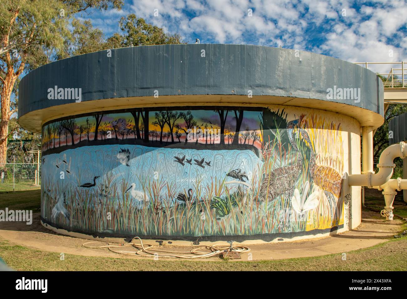 Water Tank Art, Goondiwindi, Queensland, Australia Stock Photo - Alamy