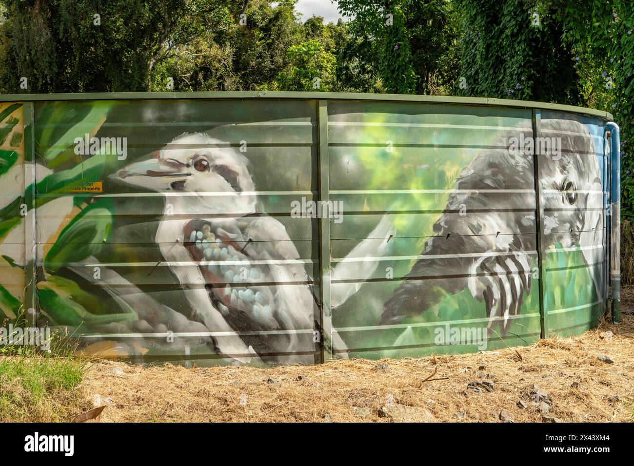 Water Tank Art by JR Ellis, Colosseum Creek, Queensland, Australia ...