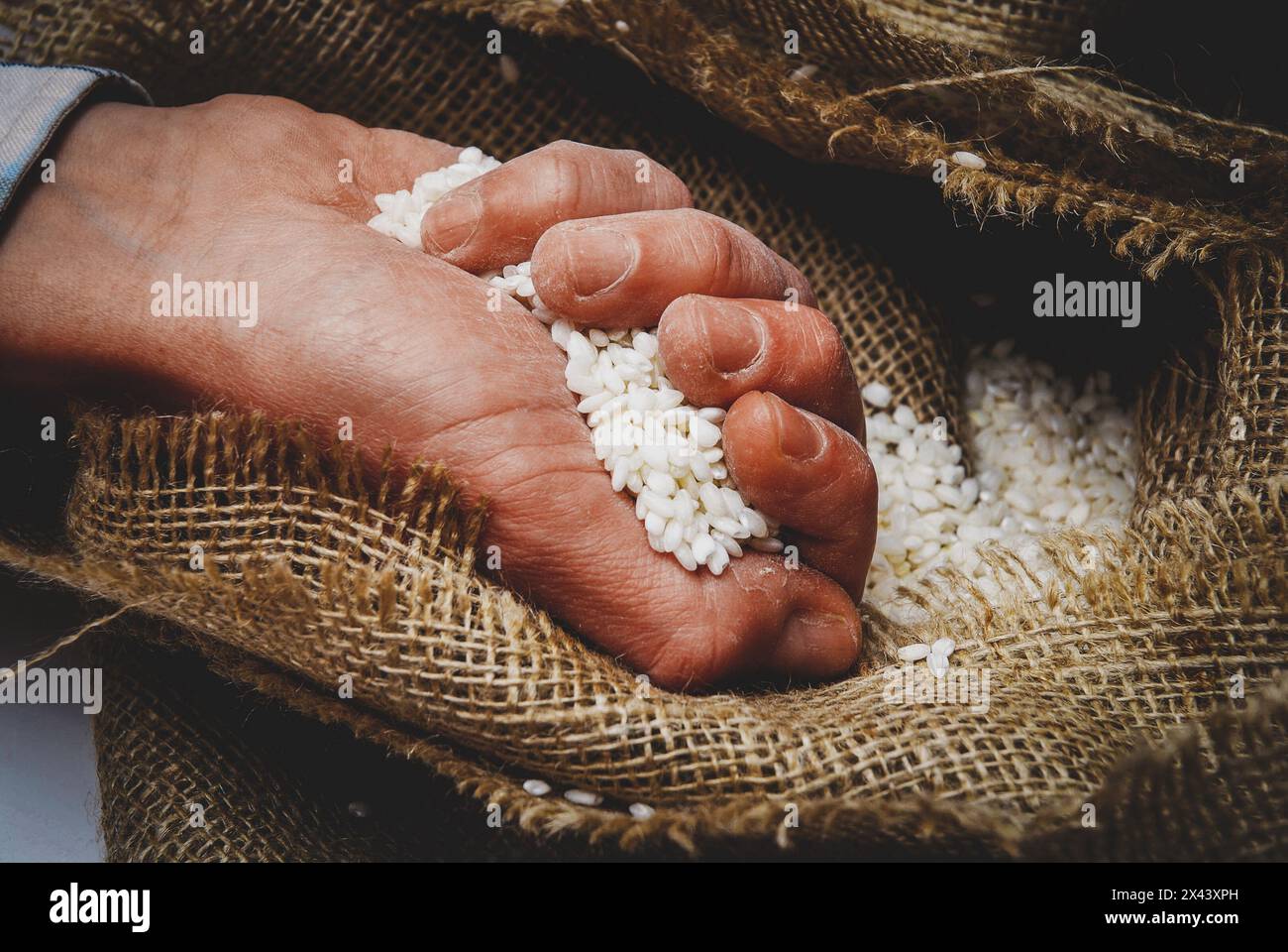 White rice in the hand in burlap sack Stock Photo - Alamy