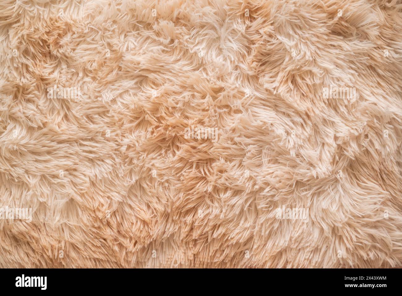 Background picture of a soft fur beige carpet. wool sheep fleece close ...