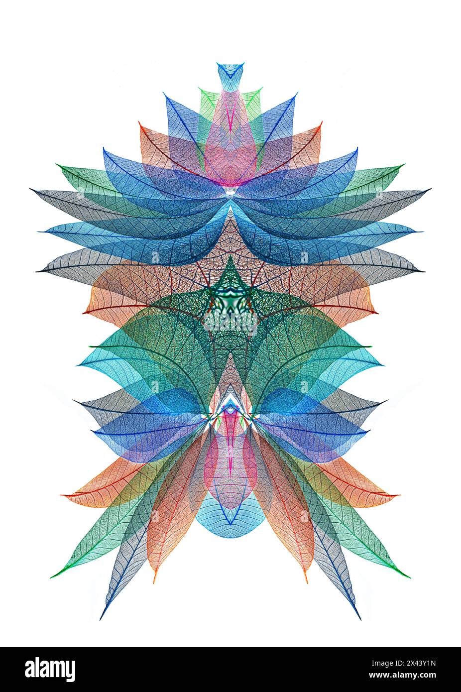 Multi-colored skeleton leaves arranged on white background Stock Photo ...