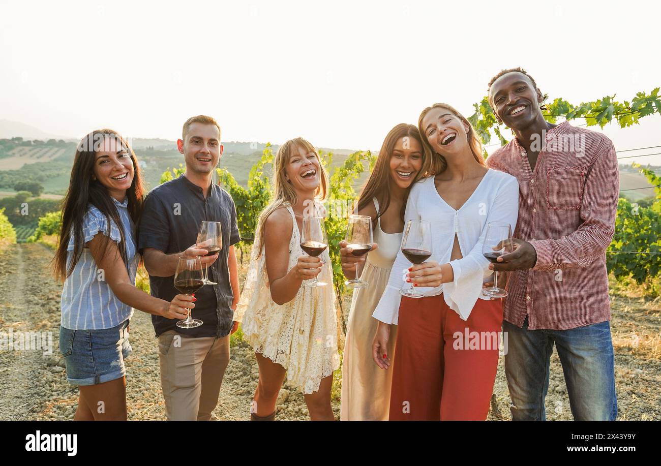 Happy friends cheering with red wine at countryside summer event ...