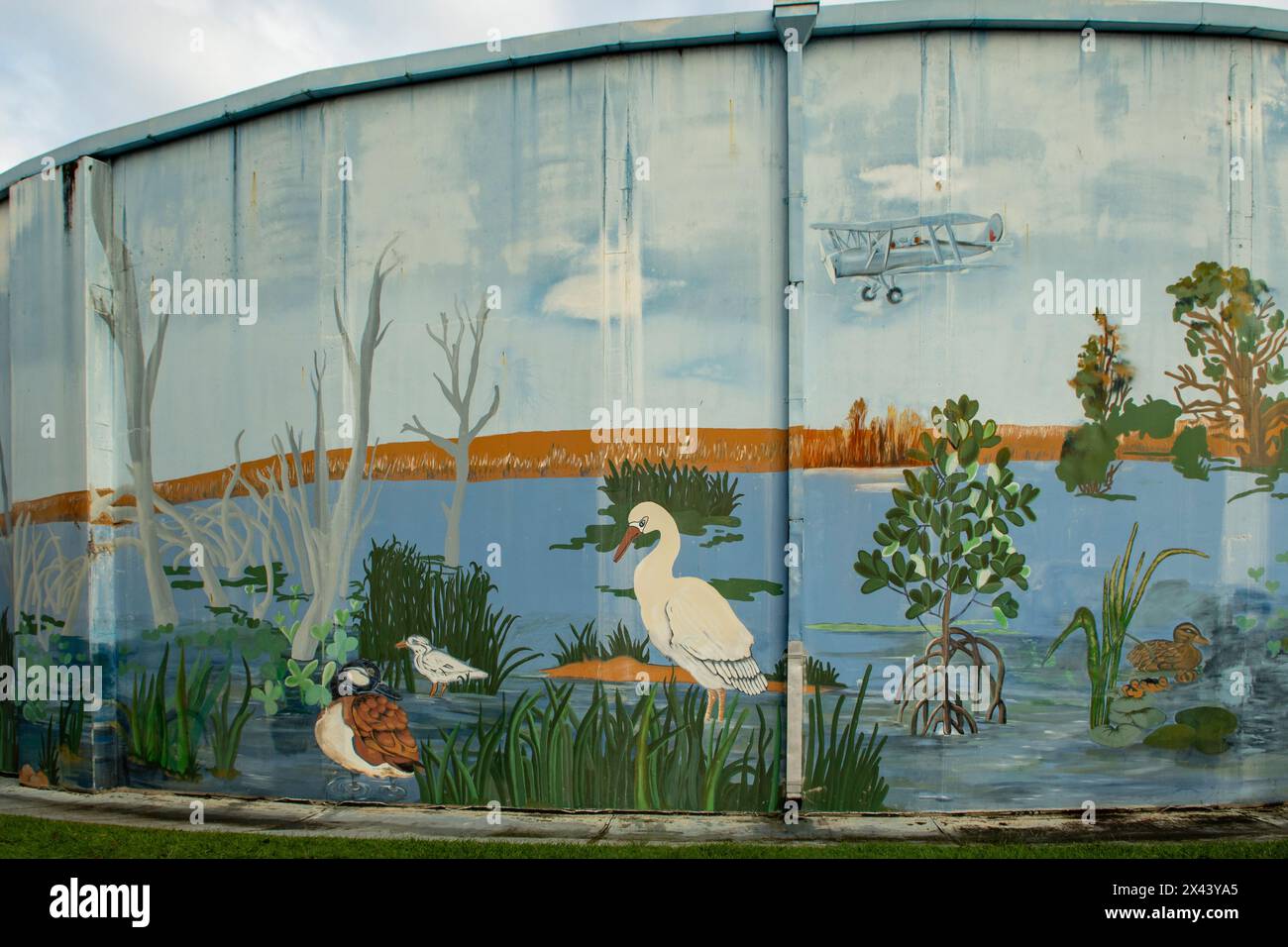 Water Tank Art by Phantast CMAA, Rothwell, Queensland, Australia Stock ...