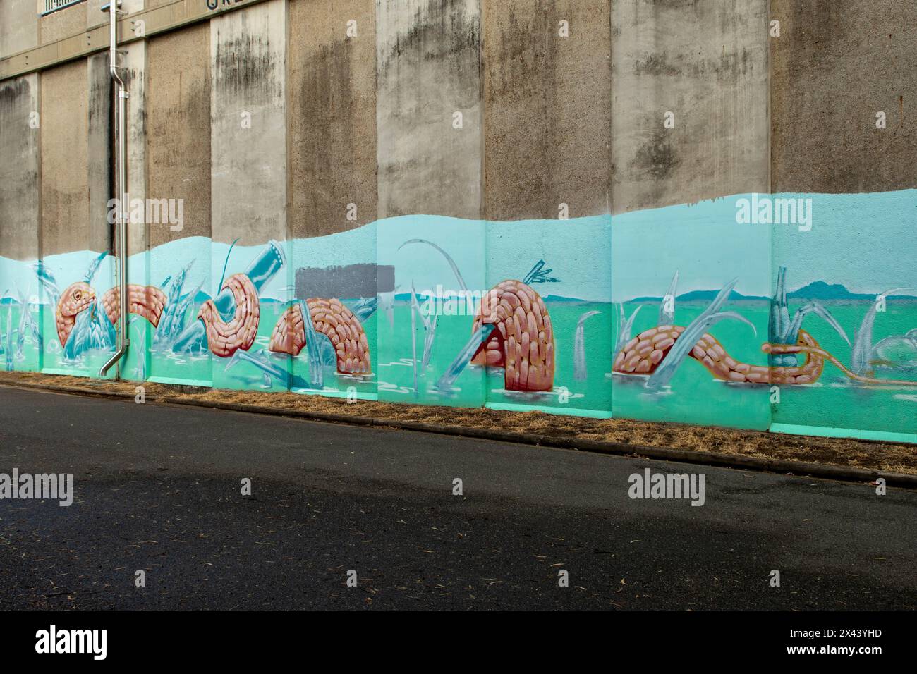 Water Reservoir Art by Street Art Murals, Green Hill, Queensland ...
