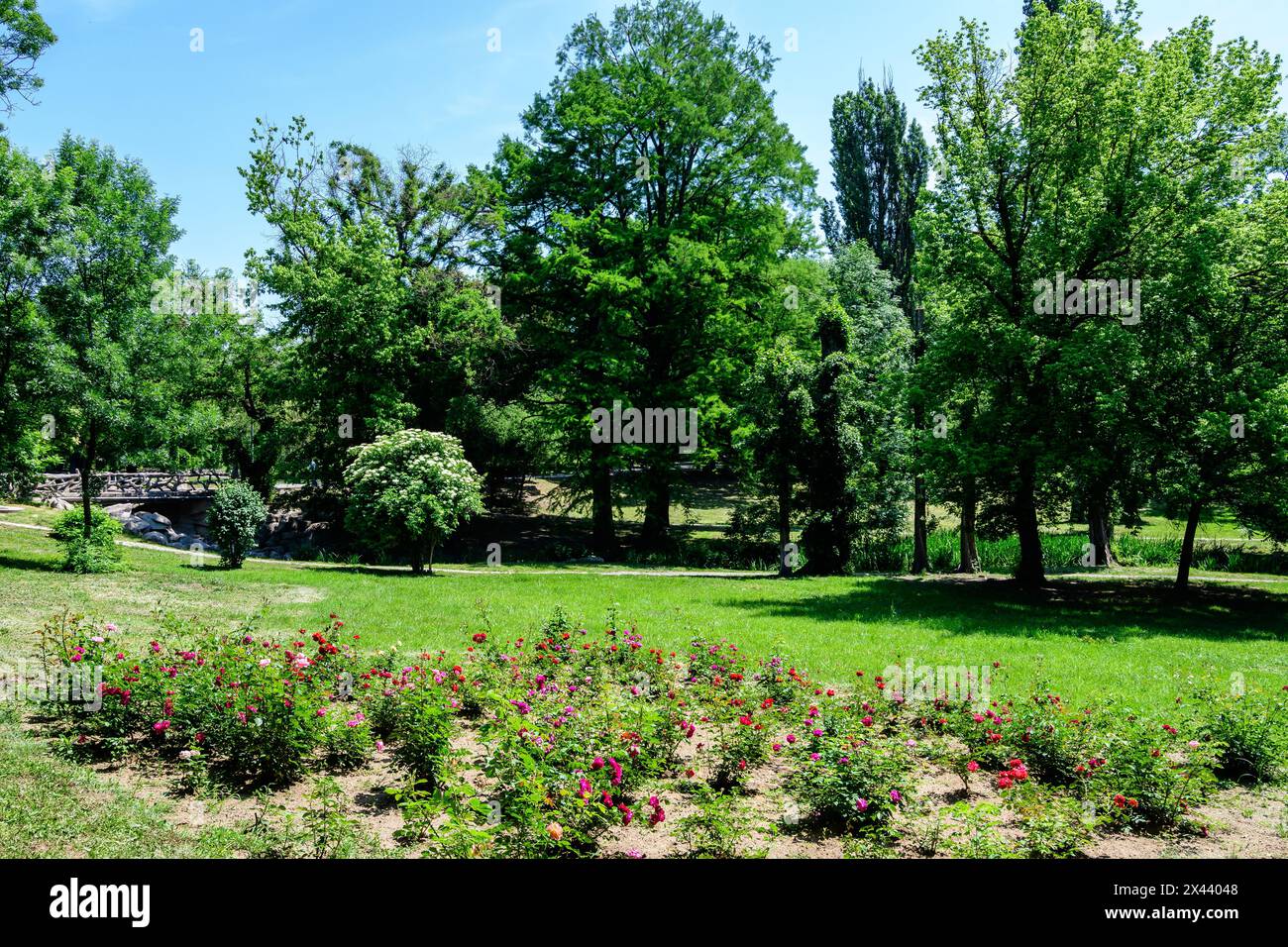 Parcul nicolae romanescu hi-res stock photography and images - Alamy