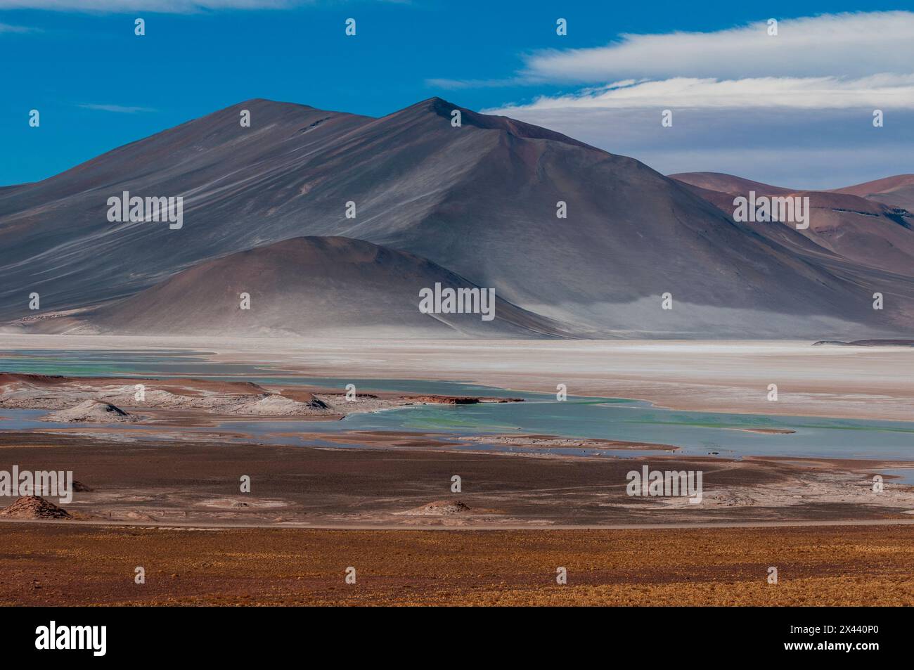 A landscape of the Andes Mountains and the Salar de Talar salt flat, at ...