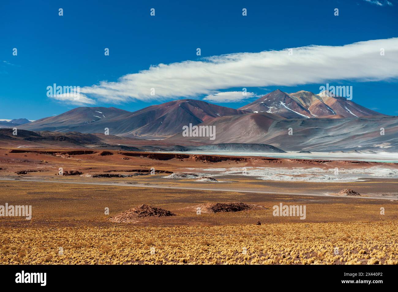A landscape of the, Chilean Andes and Salar de Talar salt flat, at an ...