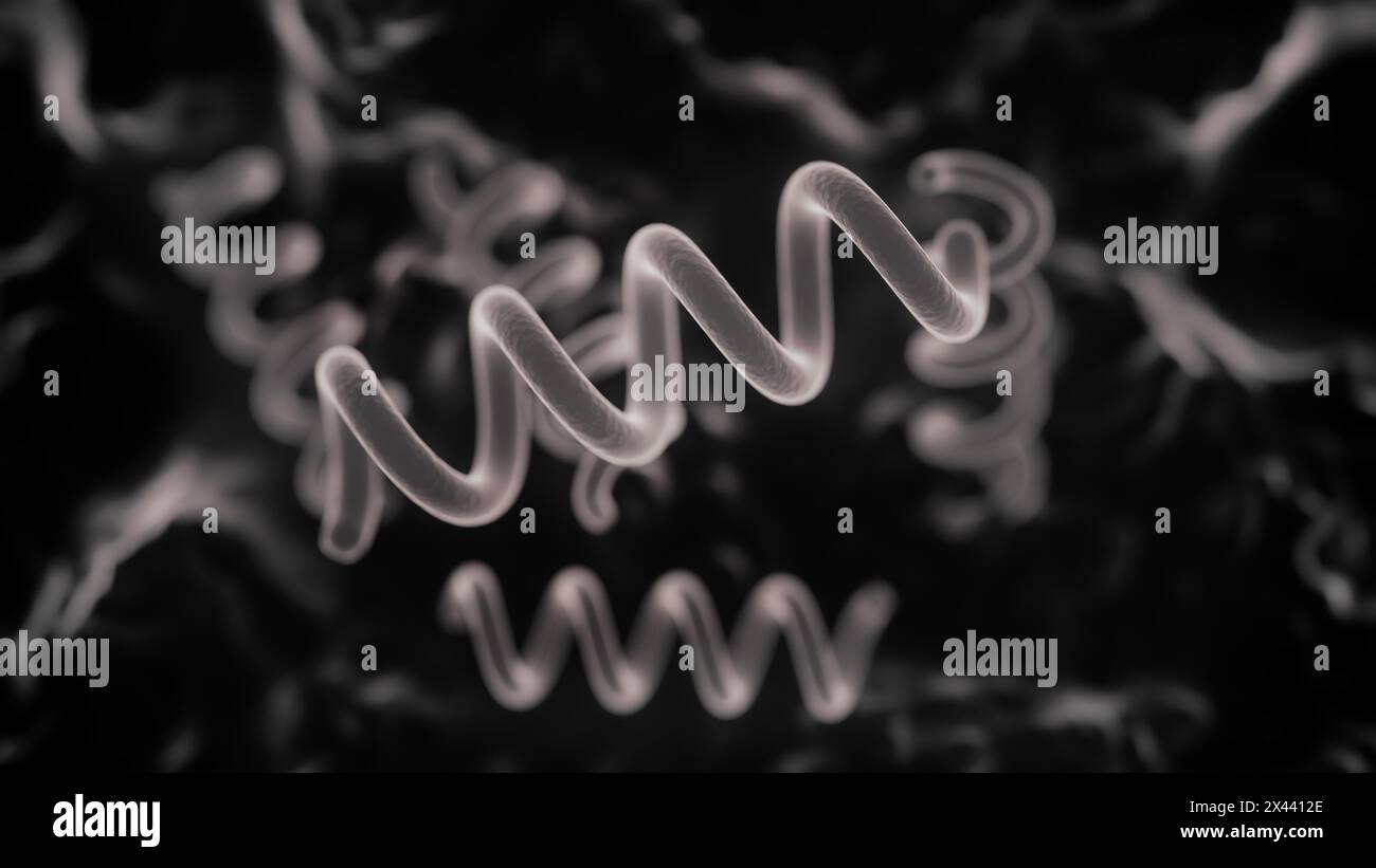 3D Rendering of Treponema Pallidum Stock Photo - Alamy