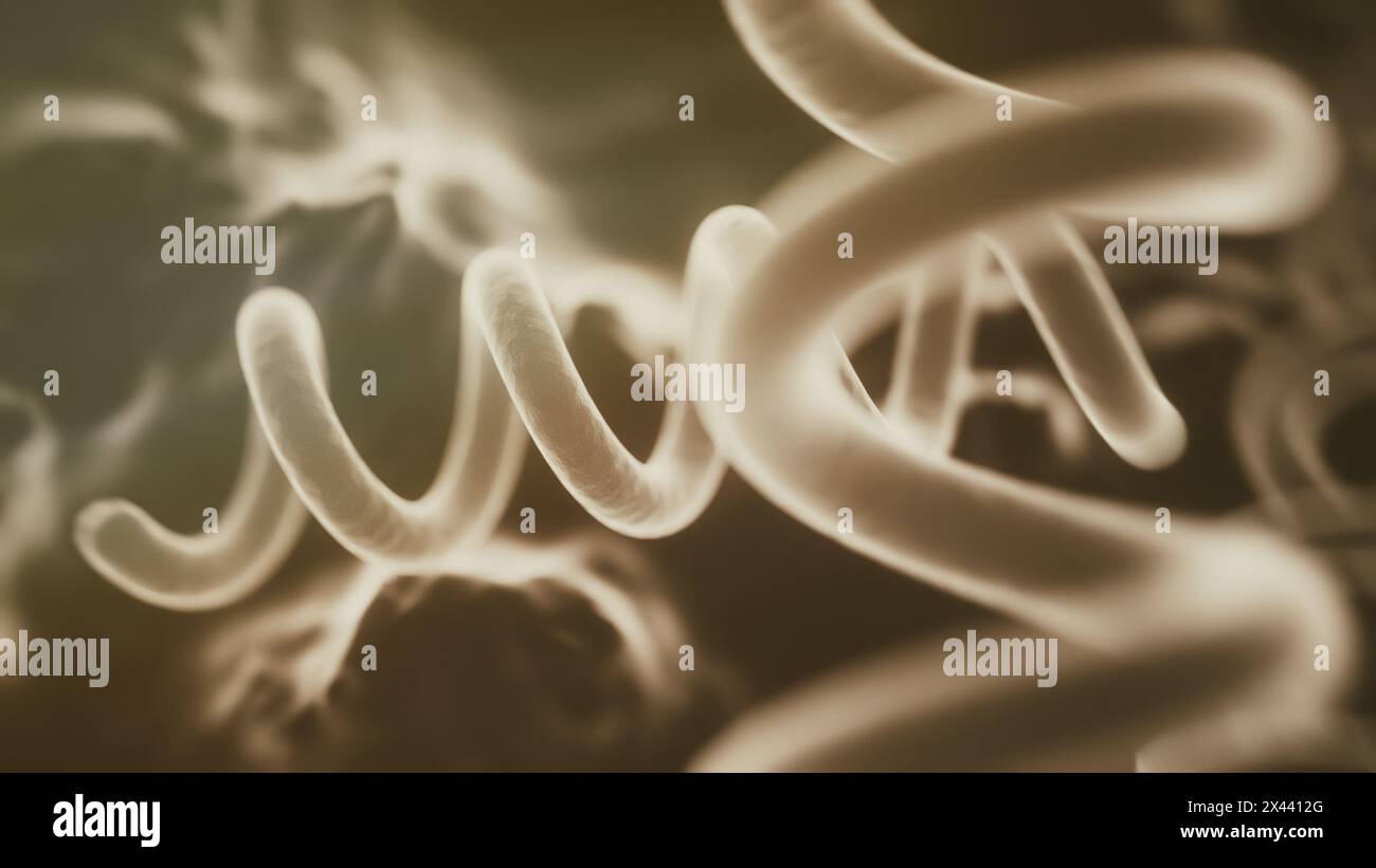 3D Rendering of Treponema Pallidum Stock Photo - Alamy