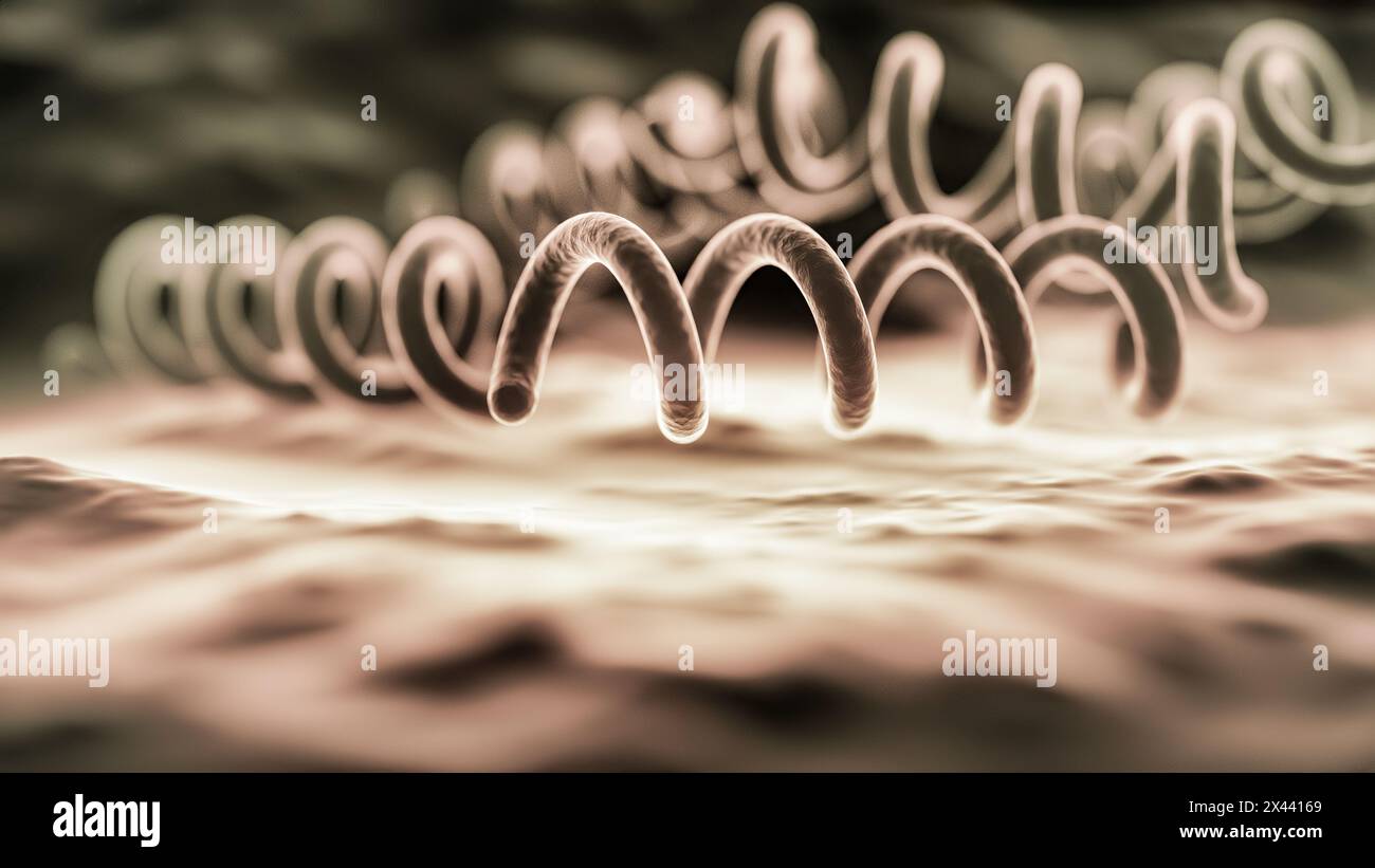 Treponema hi-res stock photography and images - Alamy