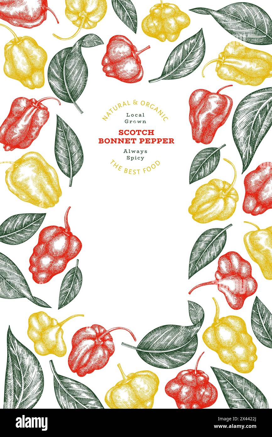 Hand drawn sketch style scotch bonnet pepper banner. Organic fresh ...