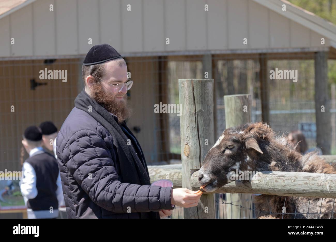 During Passover when the bible mandates having fun, an orthodox Jew ...